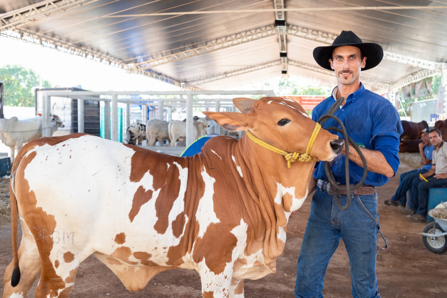 Exposul 2024: expositores falam das expectativas para o evento | Leia